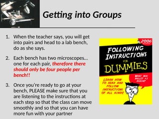 Wet Mount Presentation PowerPoint Presentation | PPTX