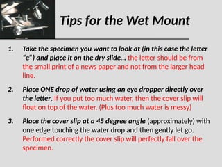 Wet Mount Presentation PowerPoint Presentation | PPTX