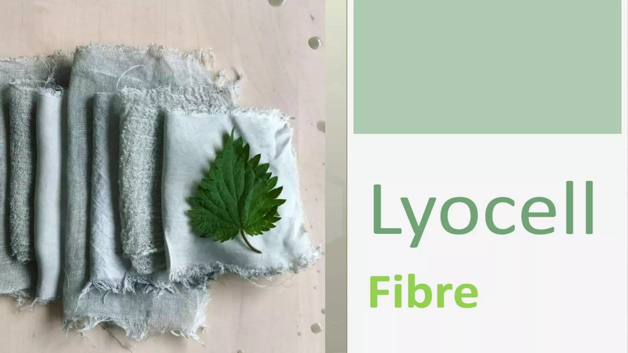 Lyocell fiber presentation slide.pptx