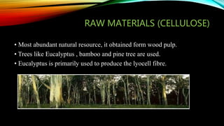 Lyocell fiber presentation slide.pptx | Woodworking | Arts and Crafts
