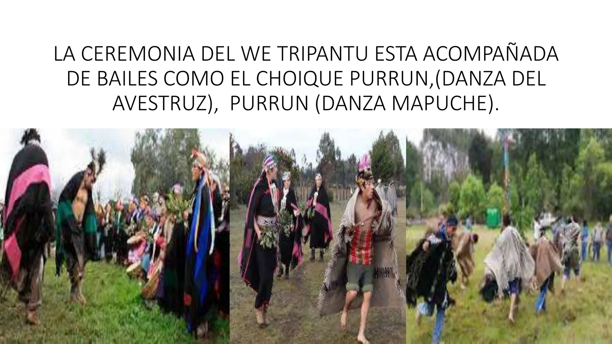 WE TRIPANTU año nuevo mapucheeeeeeeeeeeeeeeeeee | PPTX