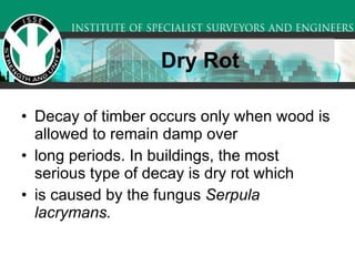 Wet rot no mould | PPT