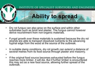 Wet rot no mould | PPT