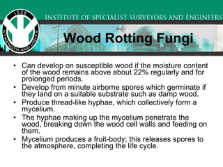 Wet rot no mould | PPT
