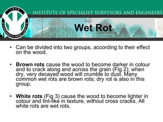 Wet rot no mould | PPT