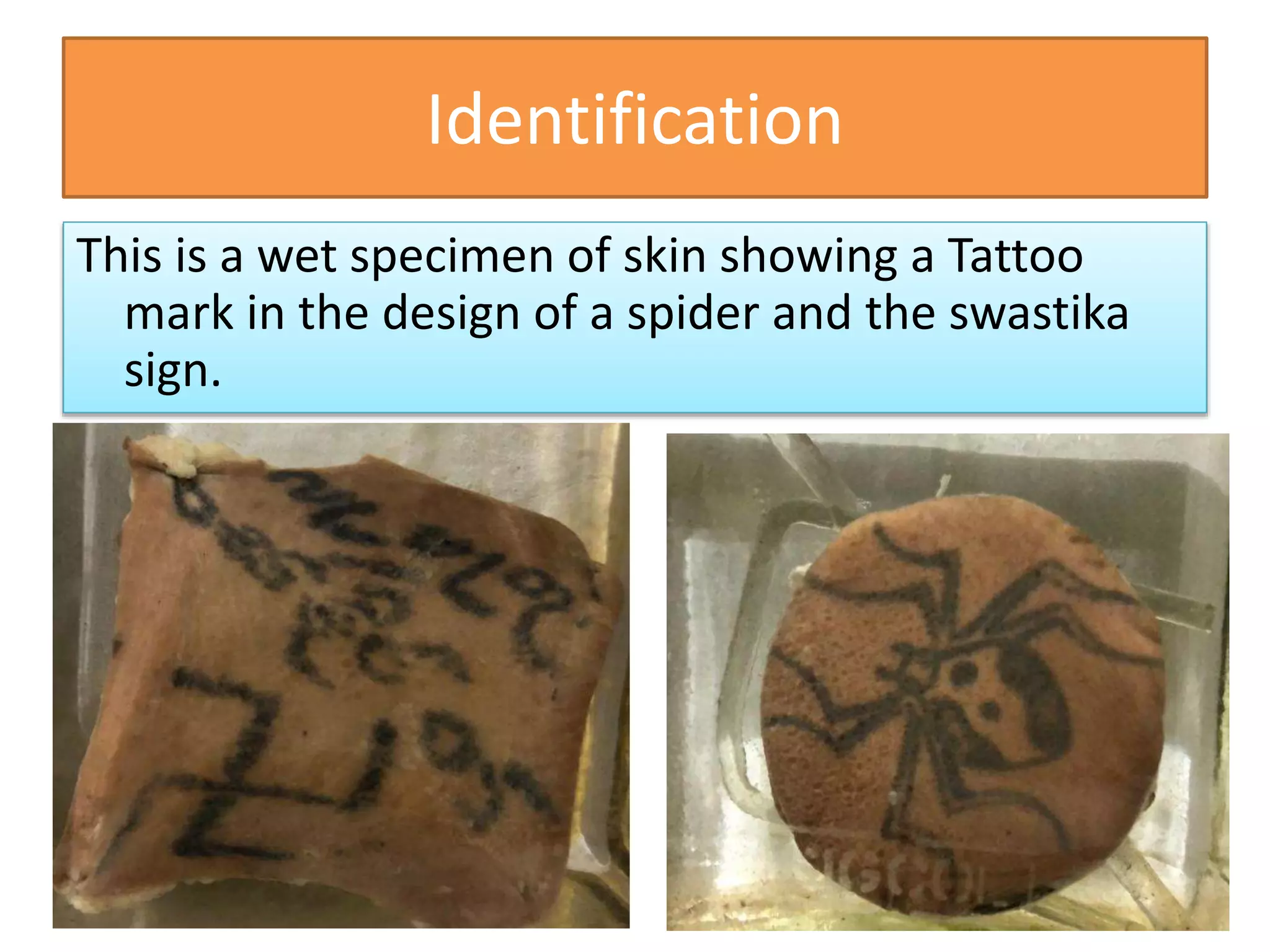 Demonstration of Wet specimens | PPTX