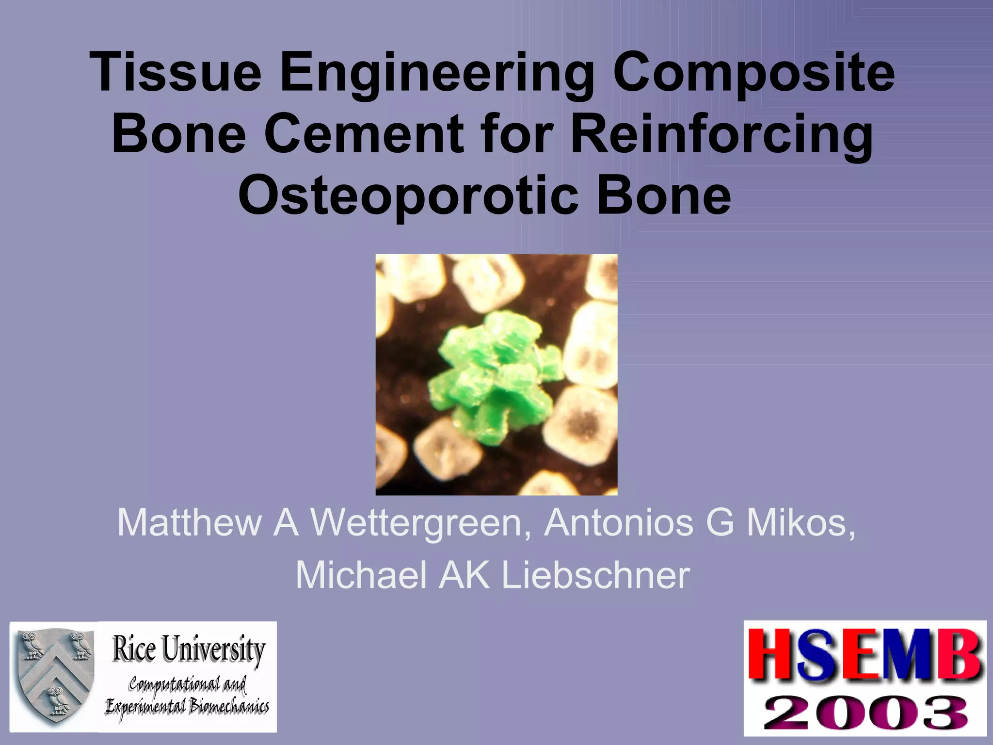 Tissue Engineered Composite Bone Cement For Reinforcing Osteoporotic ...