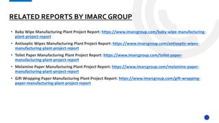 Cost and Setup Report on Wet Wipe Manufacturing Plant Project.pptx