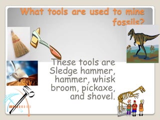 Ms. Wetzel's Class Fossil Presentation | PPTX