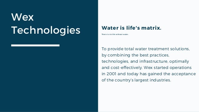 Wex technologies pvt ltd | PPTX