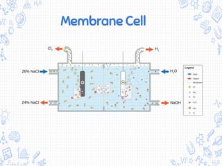 Chlor Alkali Industrial Process | PPTX