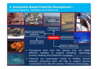 Essential Fish Habitats | PDF