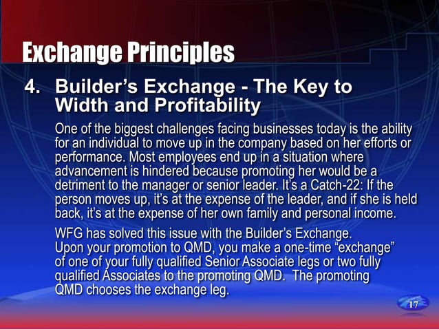 WFG - Business Format System - The Start Up.pdf