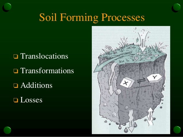 Soil fundamentals iys 2015