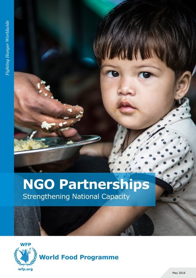 NGO Partnerships - Strengthening National Capacity | PDF | Non-Profit ...