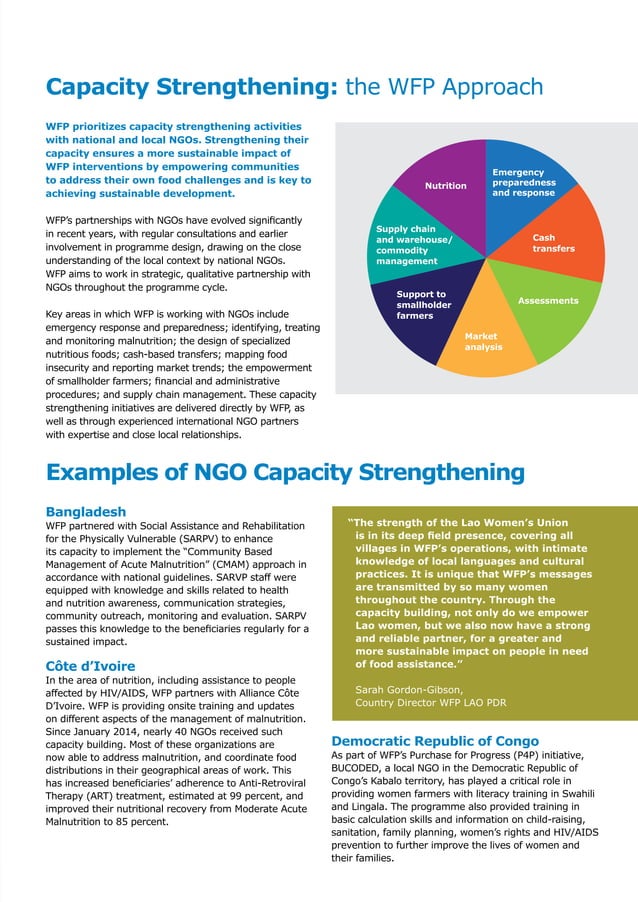 NGO Partnerships - Strengthening National Capacity | PDF | Non-Profit ...