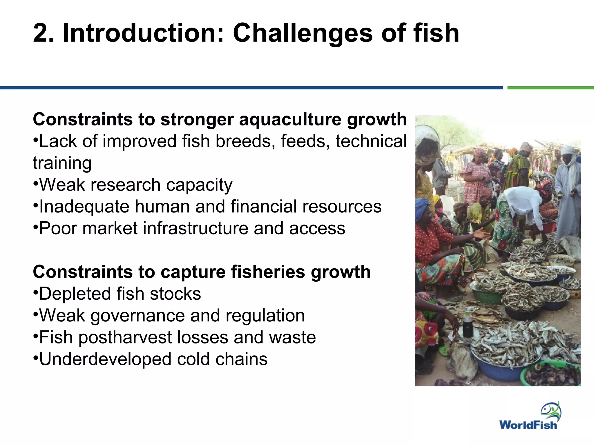 Prospects and challenges of fish for food security in Africa | PPT