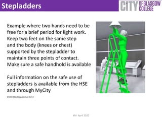 Ladders and Stepladders | PPTX
