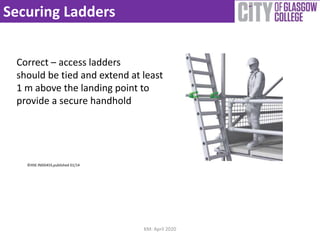 Ladders and Stepladders | PPTX