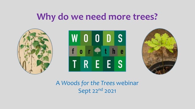 WFTT webinar 1: Why do we need more trees? | PPT