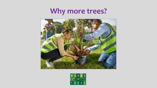 WFTT webinar 1: Why do we need more trees? | PPTX