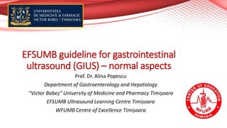 Wfumb slideseries guis normal aspects | PPT
