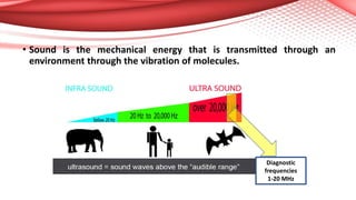Wfumb slideseries the view in the body sonoanatomy | PPTX