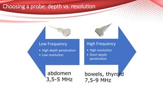 Wfumb slideseries the view in the body sonoanatomy | PPTX