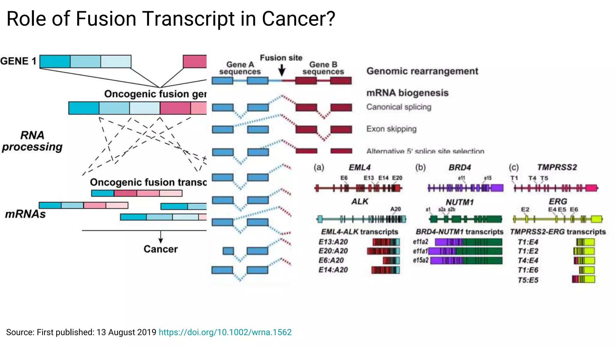 RNA fusion transcripts | PPT