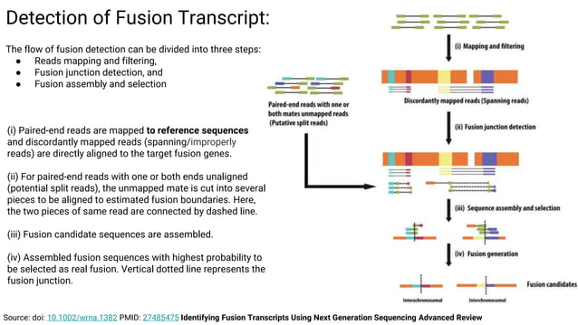 RNA fusion transcripts | PPT