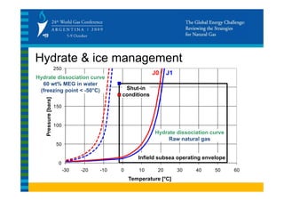 Wgc 2009 shtokman flow assurance rev07_no_backup | PDF