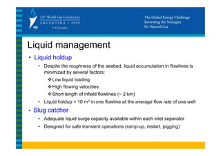 Wgc 2009 shtokman flow assurance rev07_no_backup | PDF
