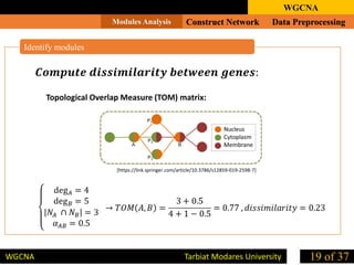 WGCNA: an R package for weighted correlation network analysis | PDF