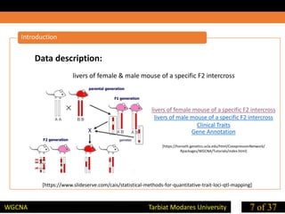 WGCNA: an R package for weighted correlation network analysis | PDF
