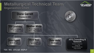 WG ppt new nov10 with appendix | PPT