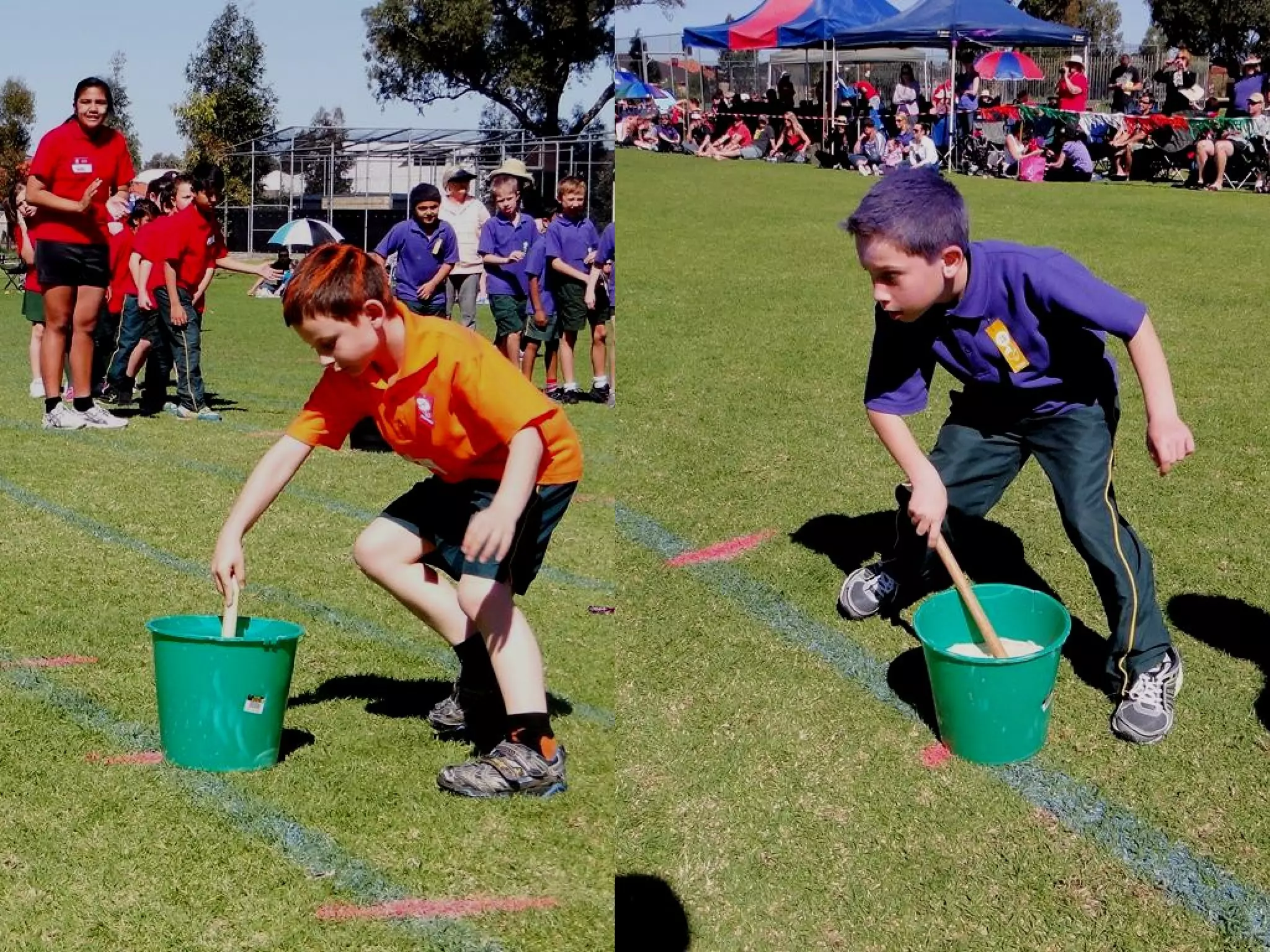 Wattle Grove Primary School Faction Athletics Carnival 2013 - Games ...