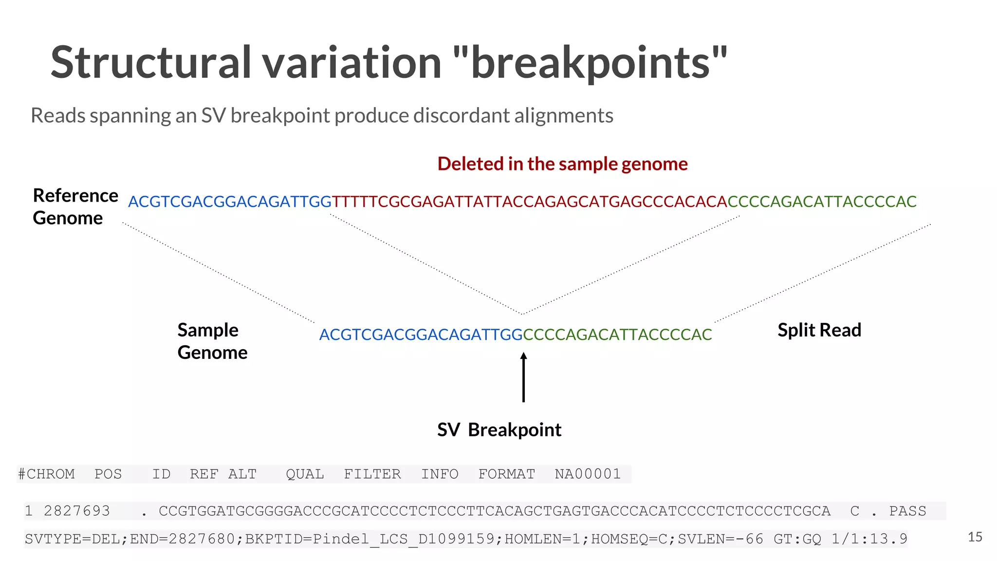 Whole Genome Sequencing Analysis | PPTX