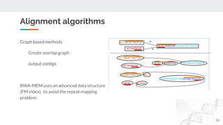 Whole Genome Sequencing Analysis | PPTX