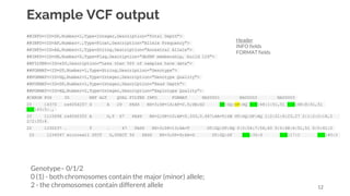 Whole Genome Sequencing Analysis | PPTX