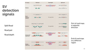 Whole Genome Sequencing Analysis | PPTX