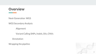 Whole Genome Sequencing Analysis | PPTX