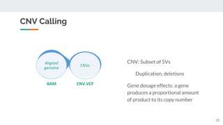 Whole Genome Sequencing Analysis | PPTX