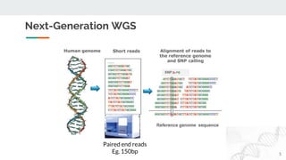 Whole Genome Sequencing Analysis | PPTX