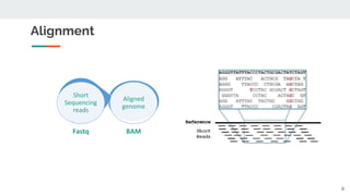 Whole Genome Sequencing Analysis | PPTX