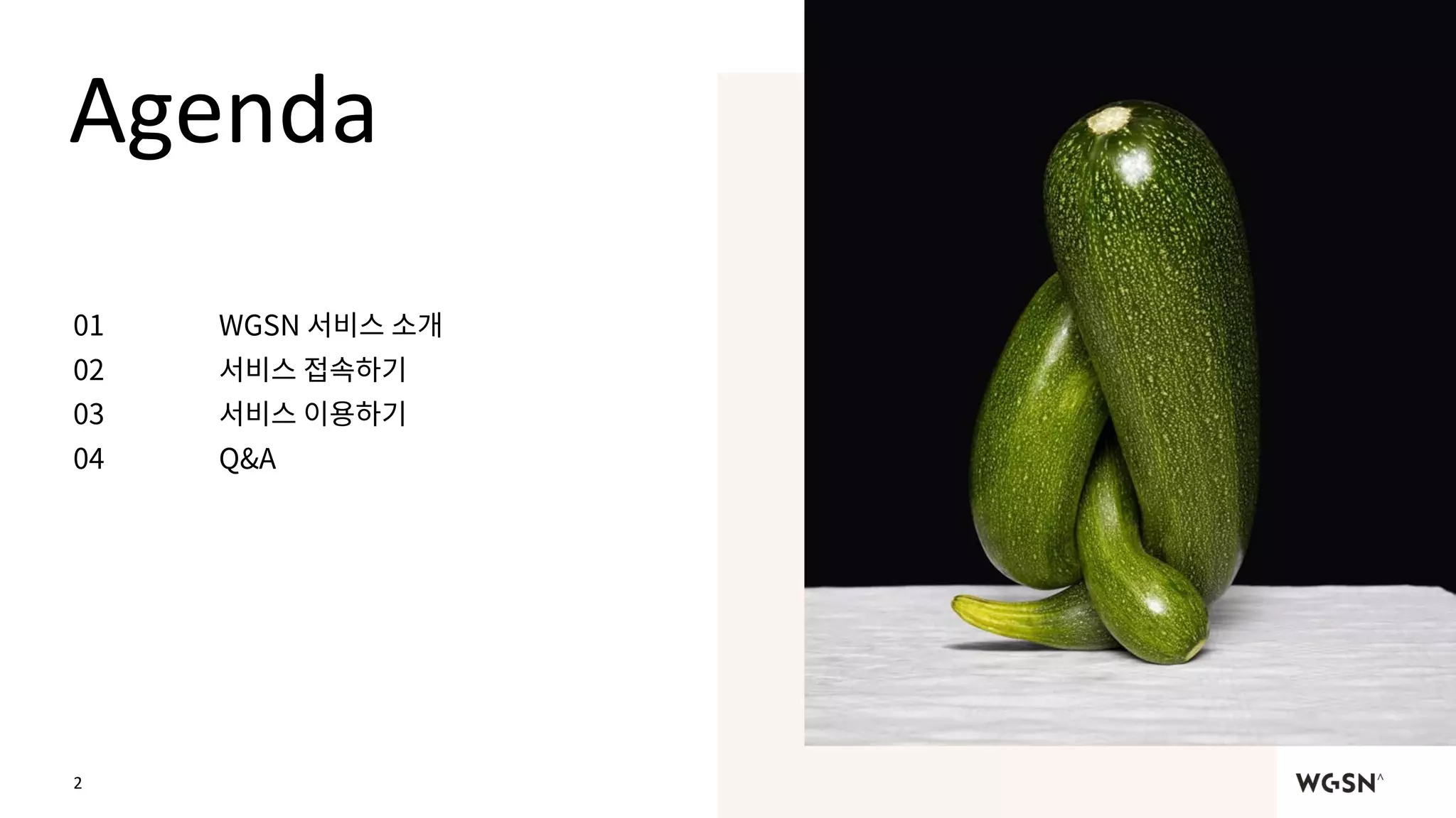 WGSN 매뉴얼.pdf