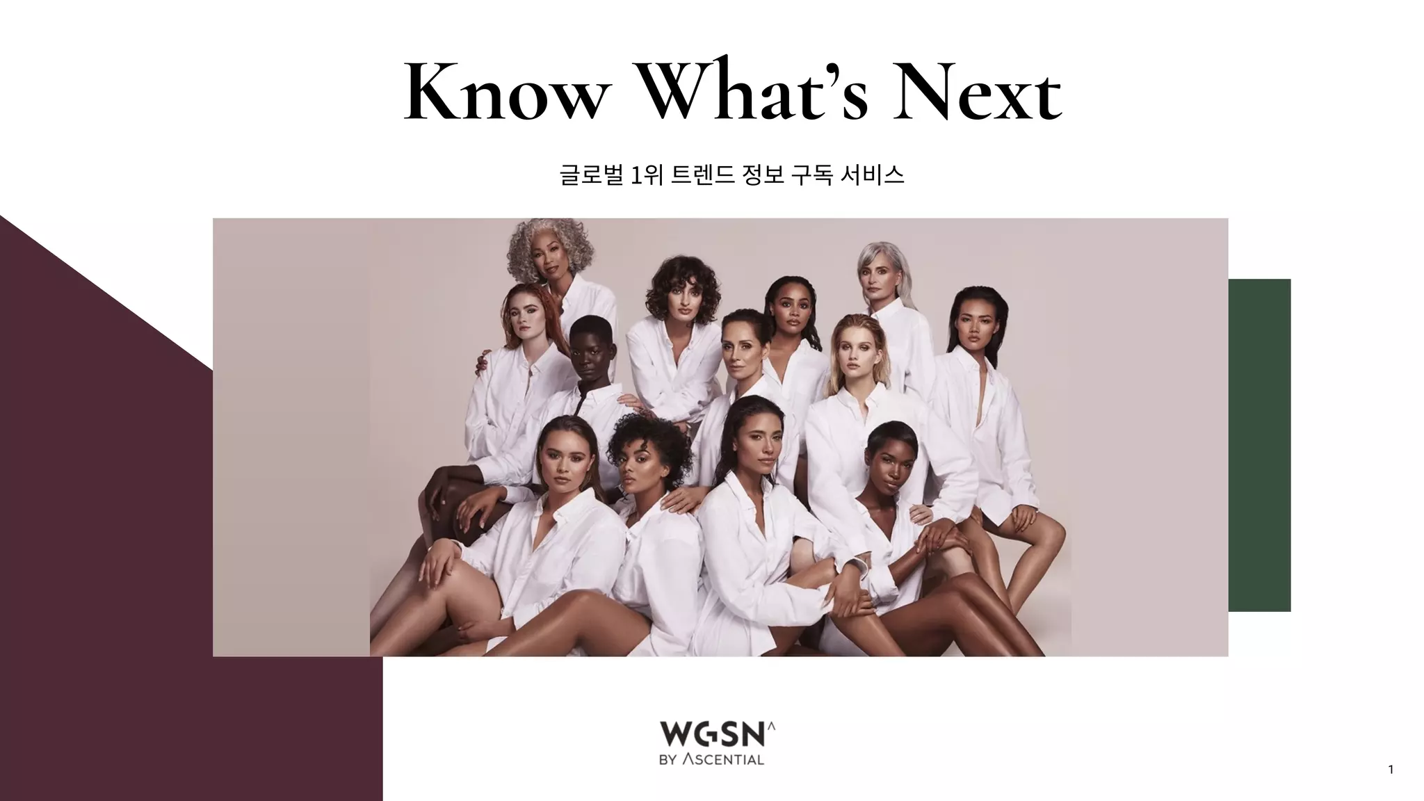 WGSN Guide Toolkit (210205) | PPT