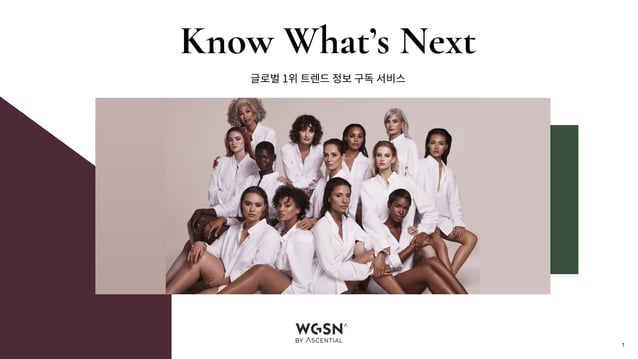 WGSN Guide Toolkit (210205) | PDF