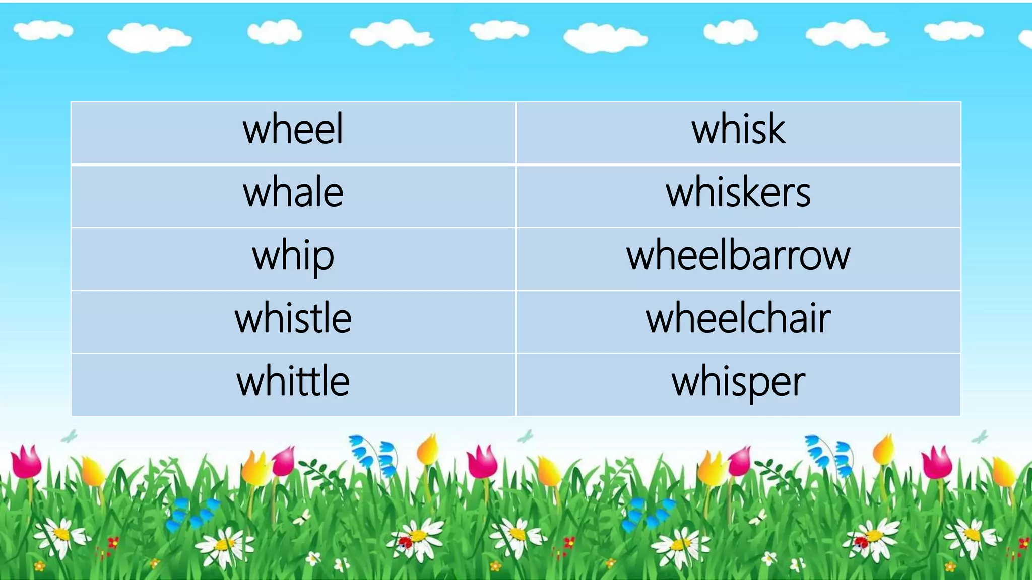 Wh phrases and sentences | PPTX