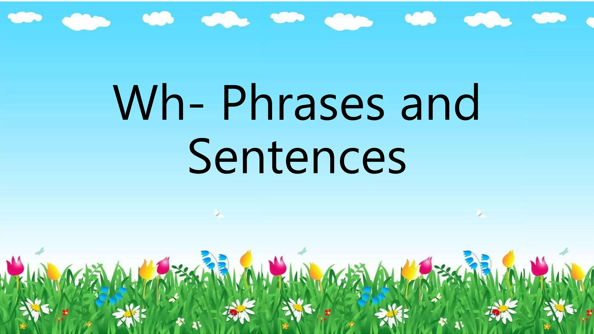 Wh phrases and sentences | PPTX