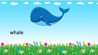 Wh phrases and sentences | PPTX | Cats | Pets